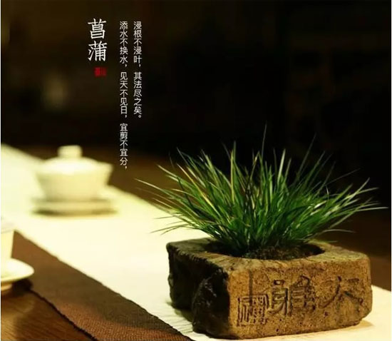 四雅是哪四雅 第10页 大山谷图库