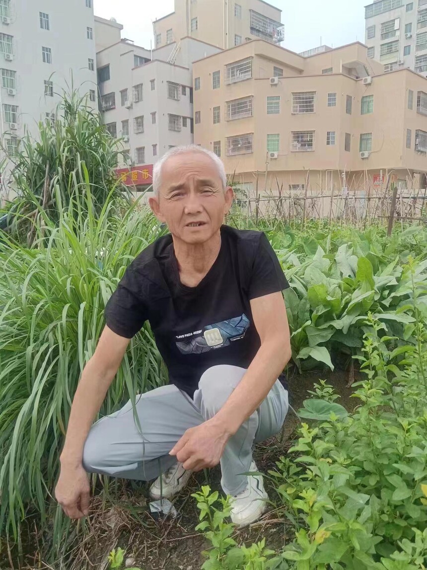 直男小老头 武汉 红颜中老网
