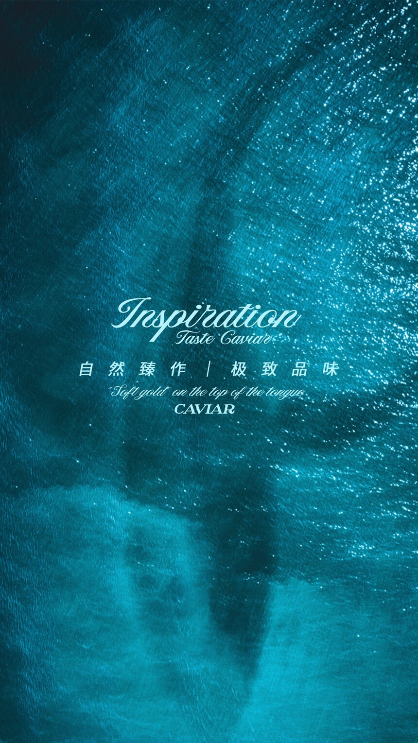 HYBRID STURGEON CAVIAR 达氏鳇鲟鱼子酱 16年 顶楼