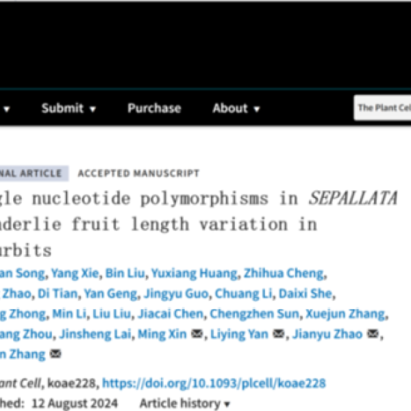 DAP-seq实验分析流程及案例分享 | DNA蛋白互作_武汉爱基百客生物科技有限公司