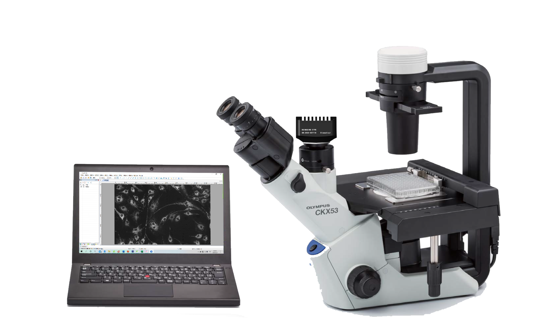 BGIMAGING科研相机_杭州柏奥谷科技有限公司