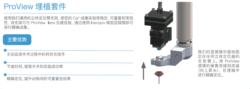GRIN Lens-透镜-Inscopix-滔博生物