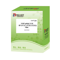 Y187-pHis2系统酵母单杂互作验证试剂盒_普因特生物工程有限公司