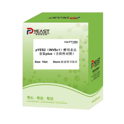 pYES2（INVSc1）酵母表达套装plus（含阳性对照）_普因特生物工程有限公司