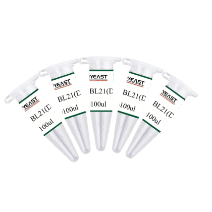 BL21(DE3) pLysS Chemically Competent Cell_普因特生物工程有限公司