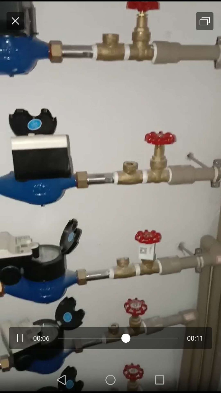 brass gate valve BS EN12288 certificated