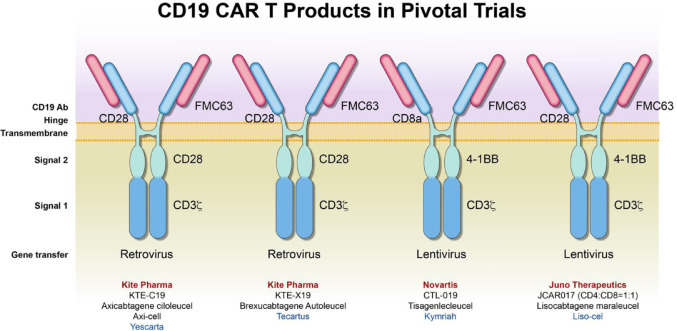 Anti-FMC63抗体|精准助力CD19 CAR细胞药物研究_上海合佑生生物科技有限公司