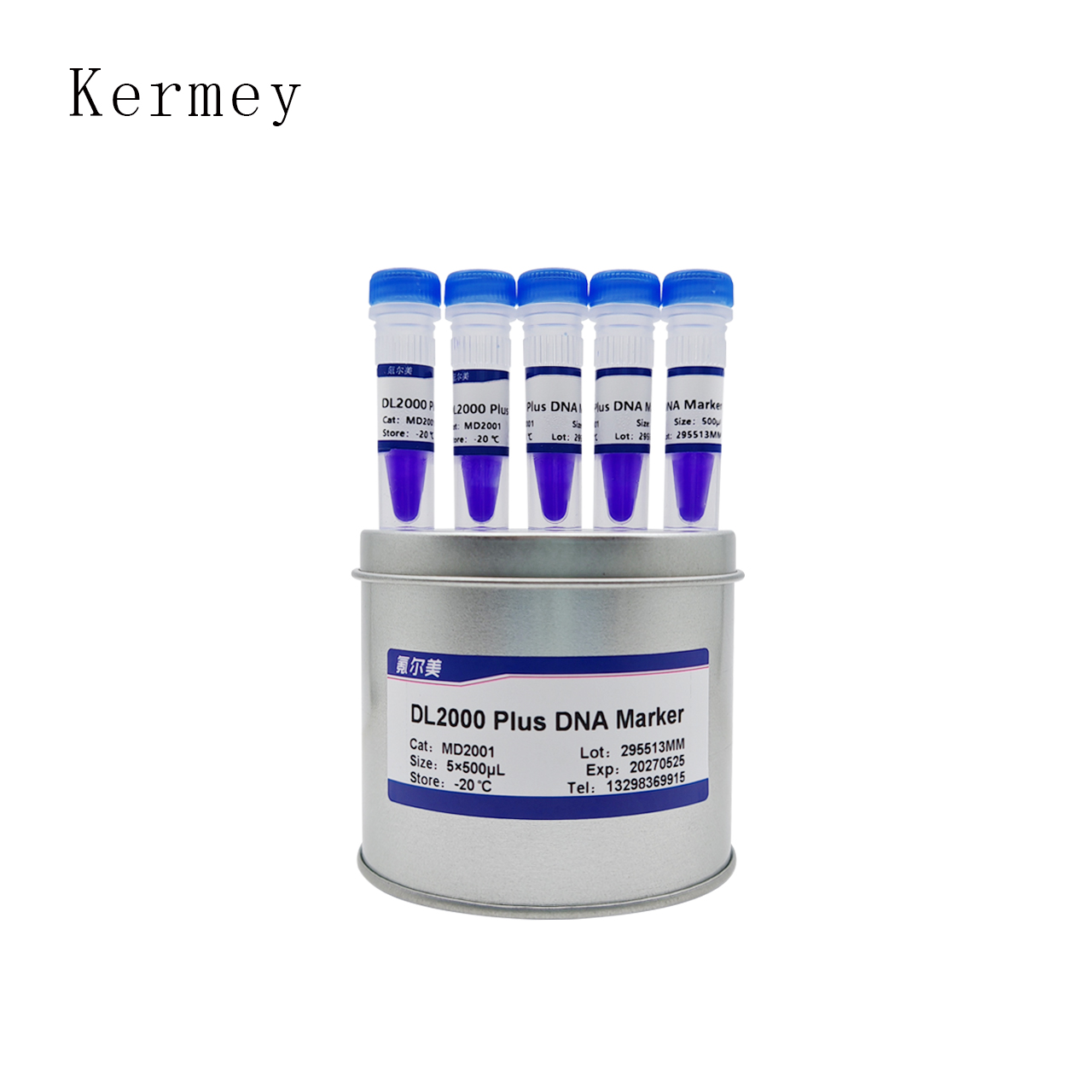 DL2000 plus DNA Marker_氪尔美生物试剂