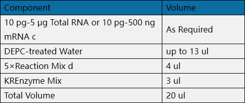 All-in-One Script RTpremix (with dsDNase)_氪尔美生物试剂