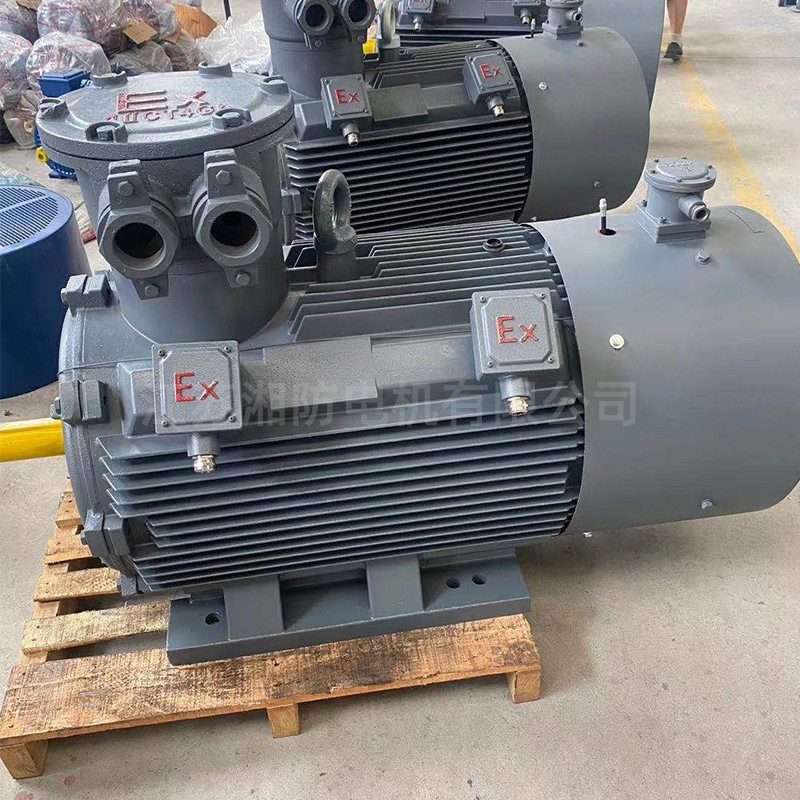 防爆变频电机YBBP-315M-2-132KW_江苏湘防电机有限公司