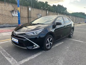 CARS_bumblebeecarexport