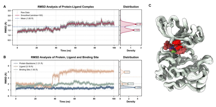 RMSD分析_simulation