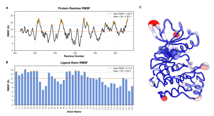 RMSF分析_simulation
