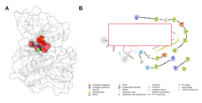结合模式分析_simulation
