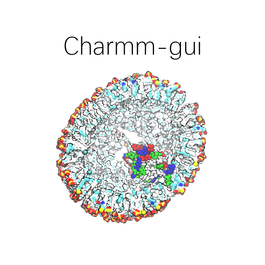 charmm-gui_simulation